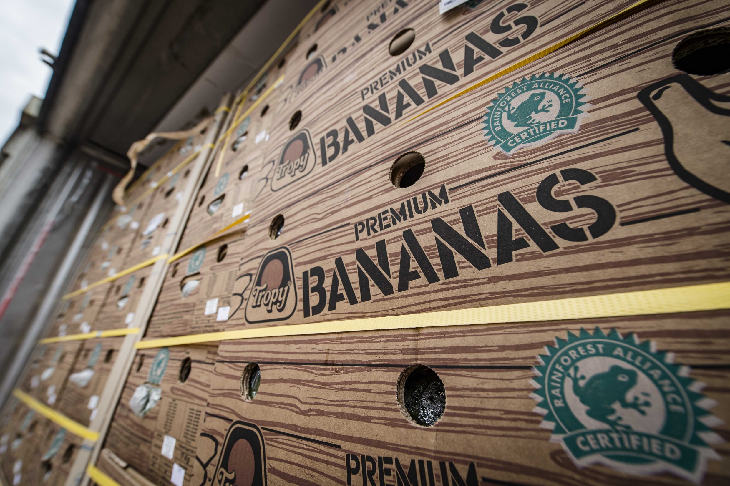 200 miljoen aan coke tussen bananen in haven van Antwerpen | De Morgen