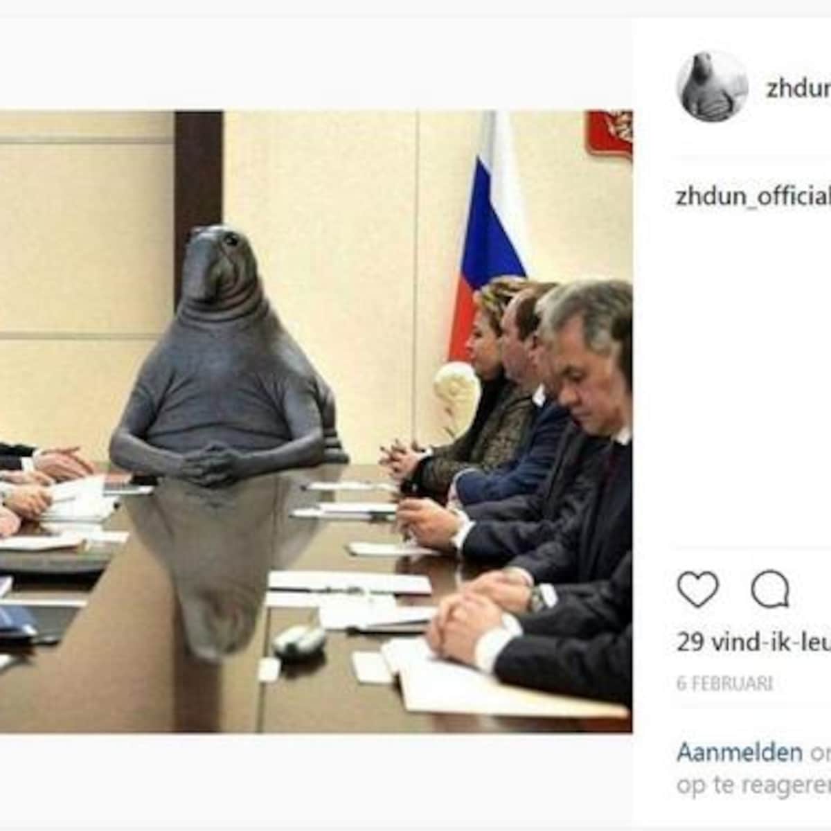 Wachtende Meme Volgende Memecoinboom? Arctic Pablo Verbrandt 11