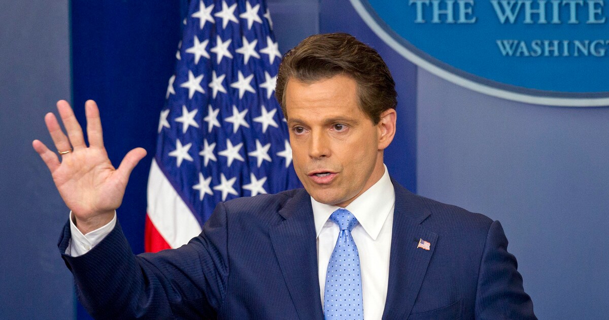 Vaarwel, Scaramouche, jij blaaskaak en lafaard | De Morgen