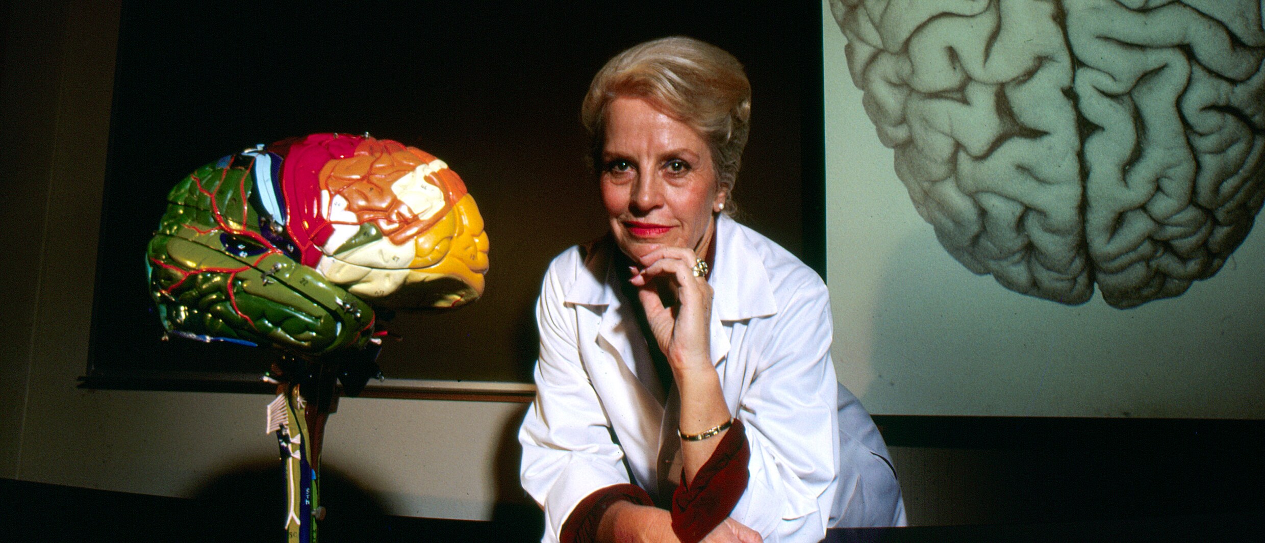 Dit was de vrouw die Einsteins brein onderzocht | De Morgen