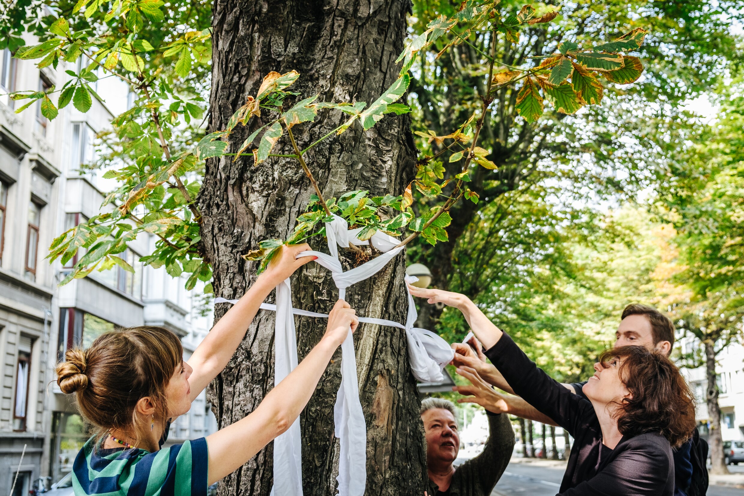 UAntwerpen komt met vak ‘klimaatverandering’: ‘Heeft een impact op elk ...