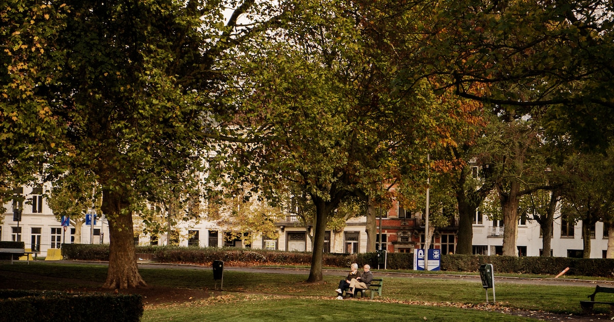 Gent lanceert lockers voor daklozen | De Morgen