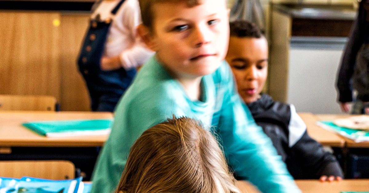 Afschaffing AVI-leesniveaus nog niet voor morgen | De Morgen