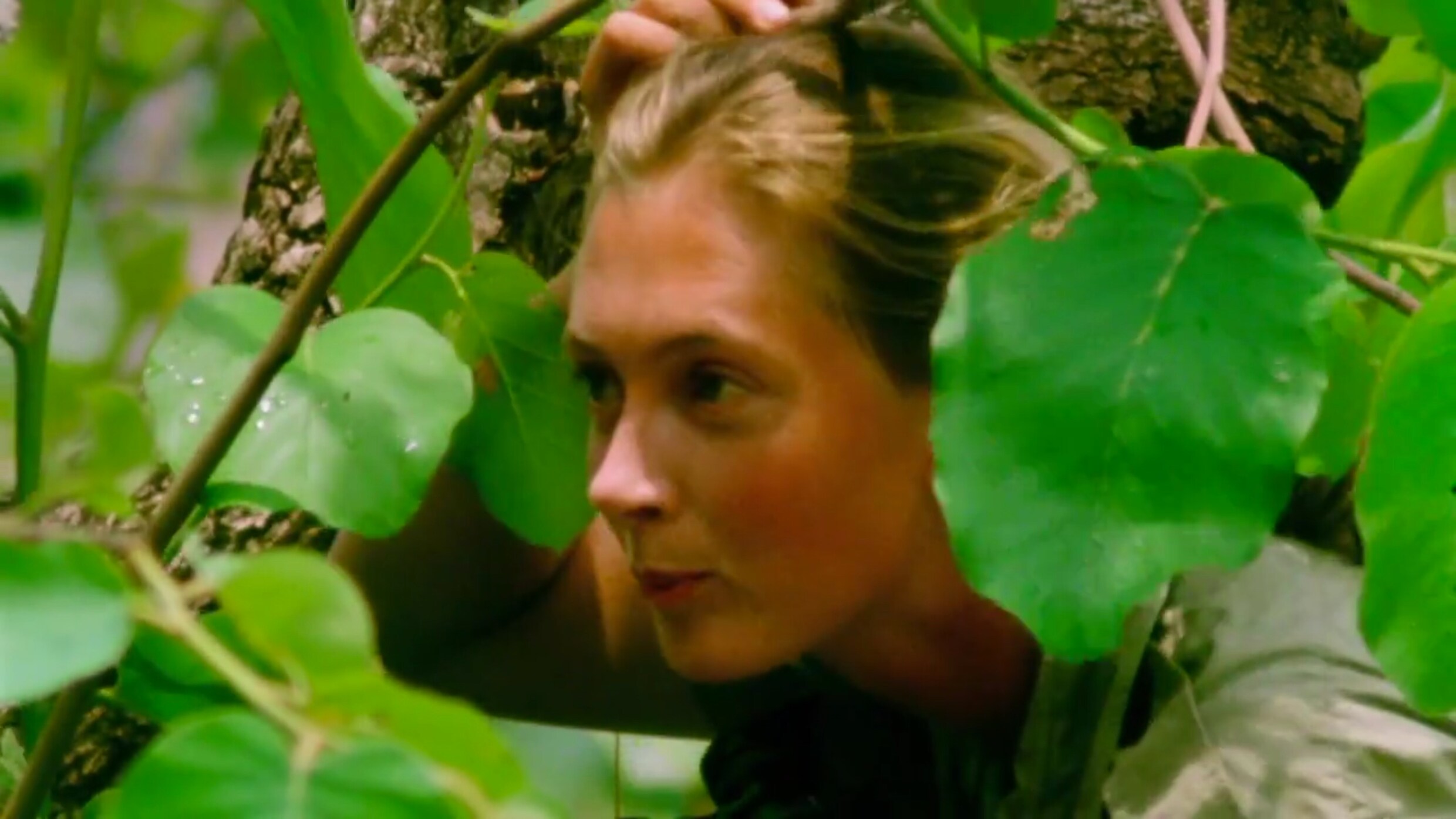 Van Kurt Cobain naar Jane Goodall: "In mijn films zoek ik het ritme van ...