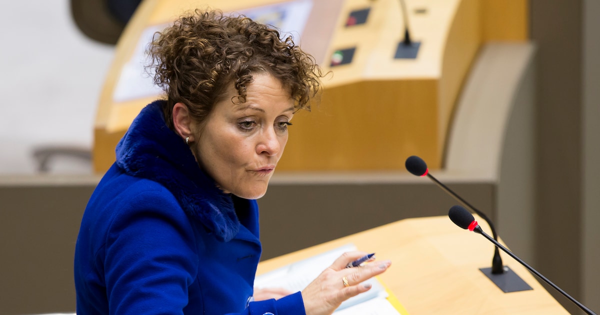Lydia Peeters volgt Tommelein op als Vlaams minister van Energie en ...