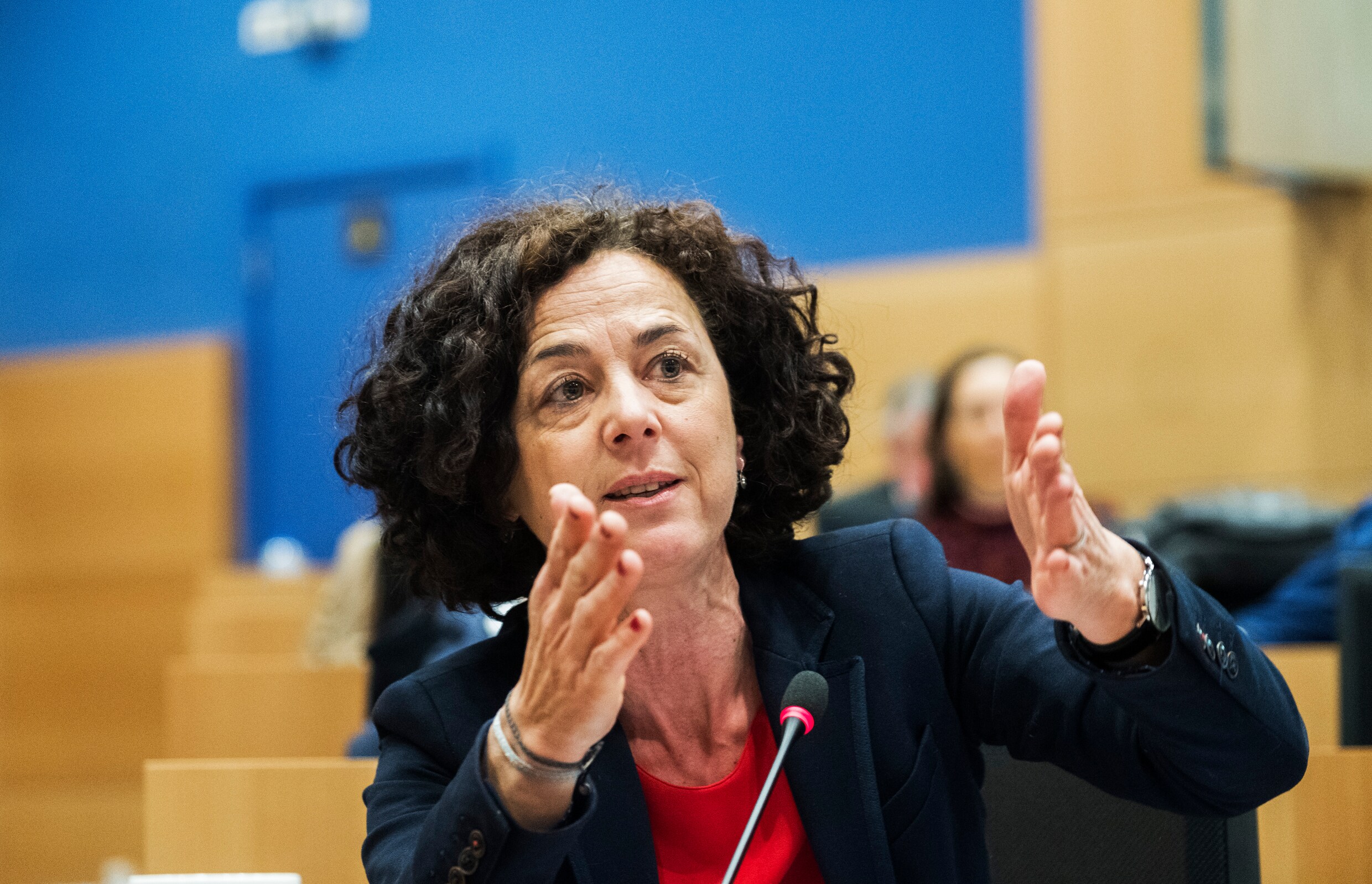 FAVV stuurt kat naar commissie over vleesschandaal | De Morgen