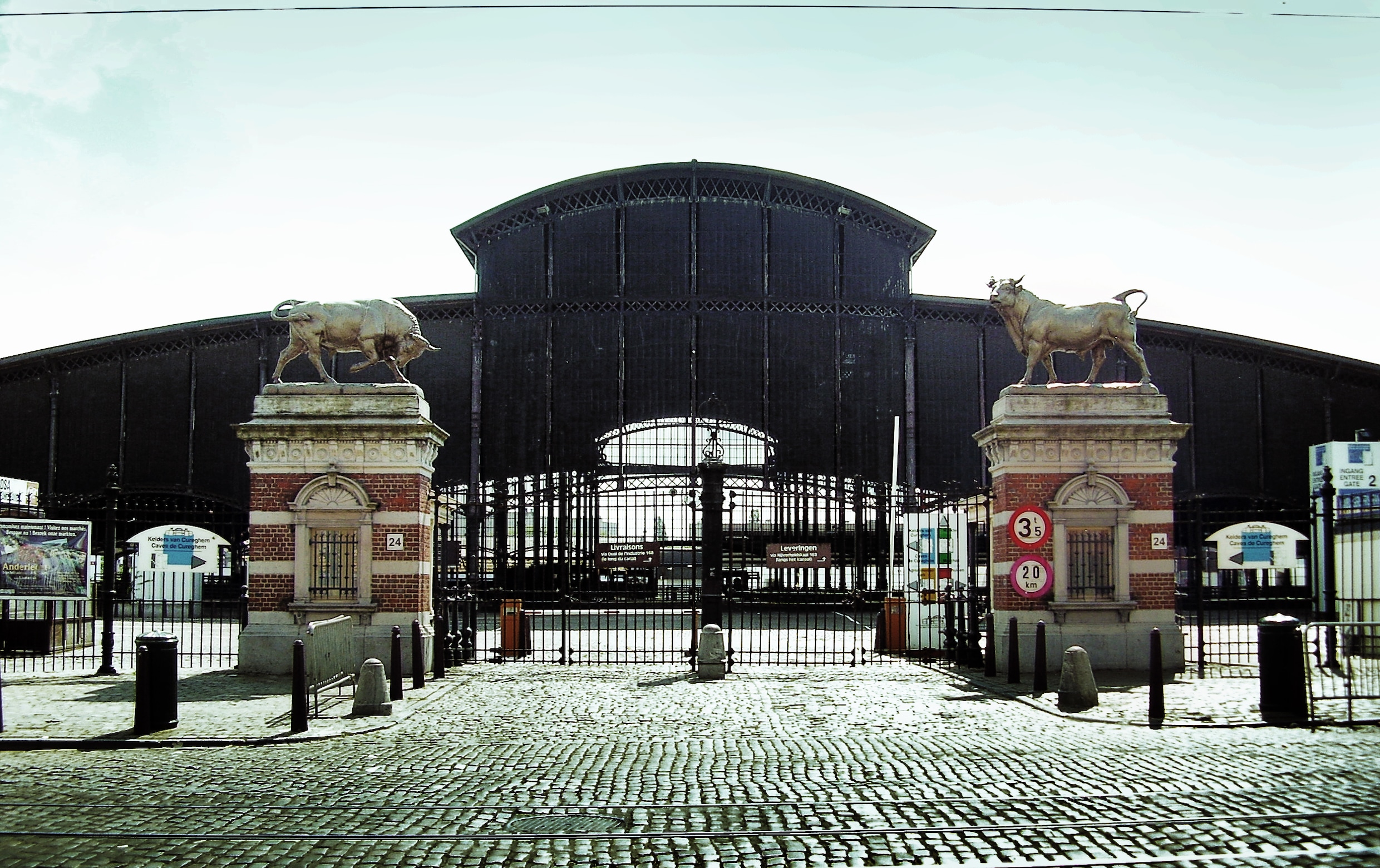 Vervoort noch Cumps zeggen waar het eigenlijk om gaat: het onverdoofd ...