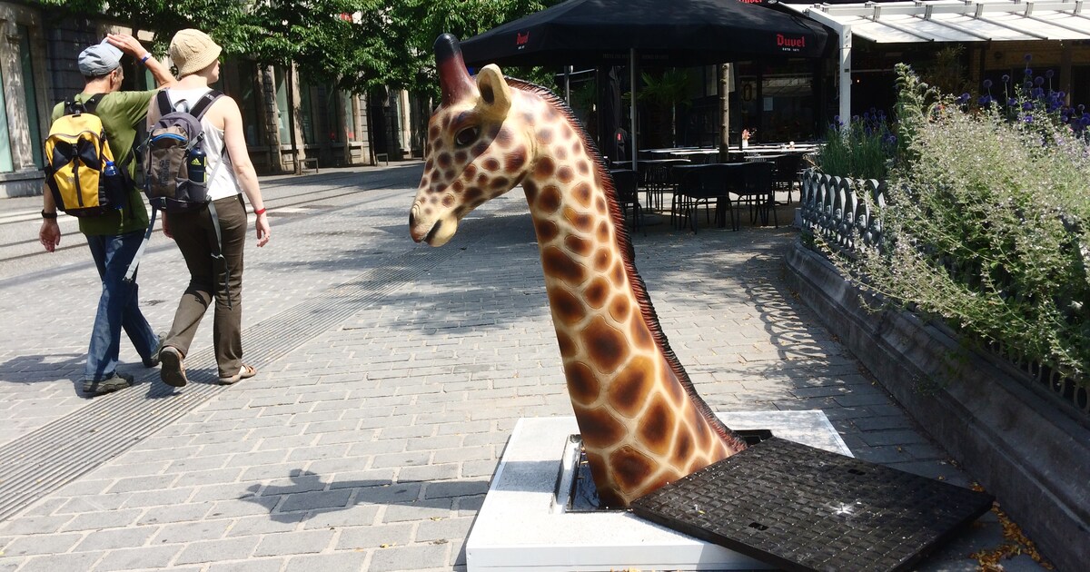 Groot wild gespot in Antwerpen | De Morgen