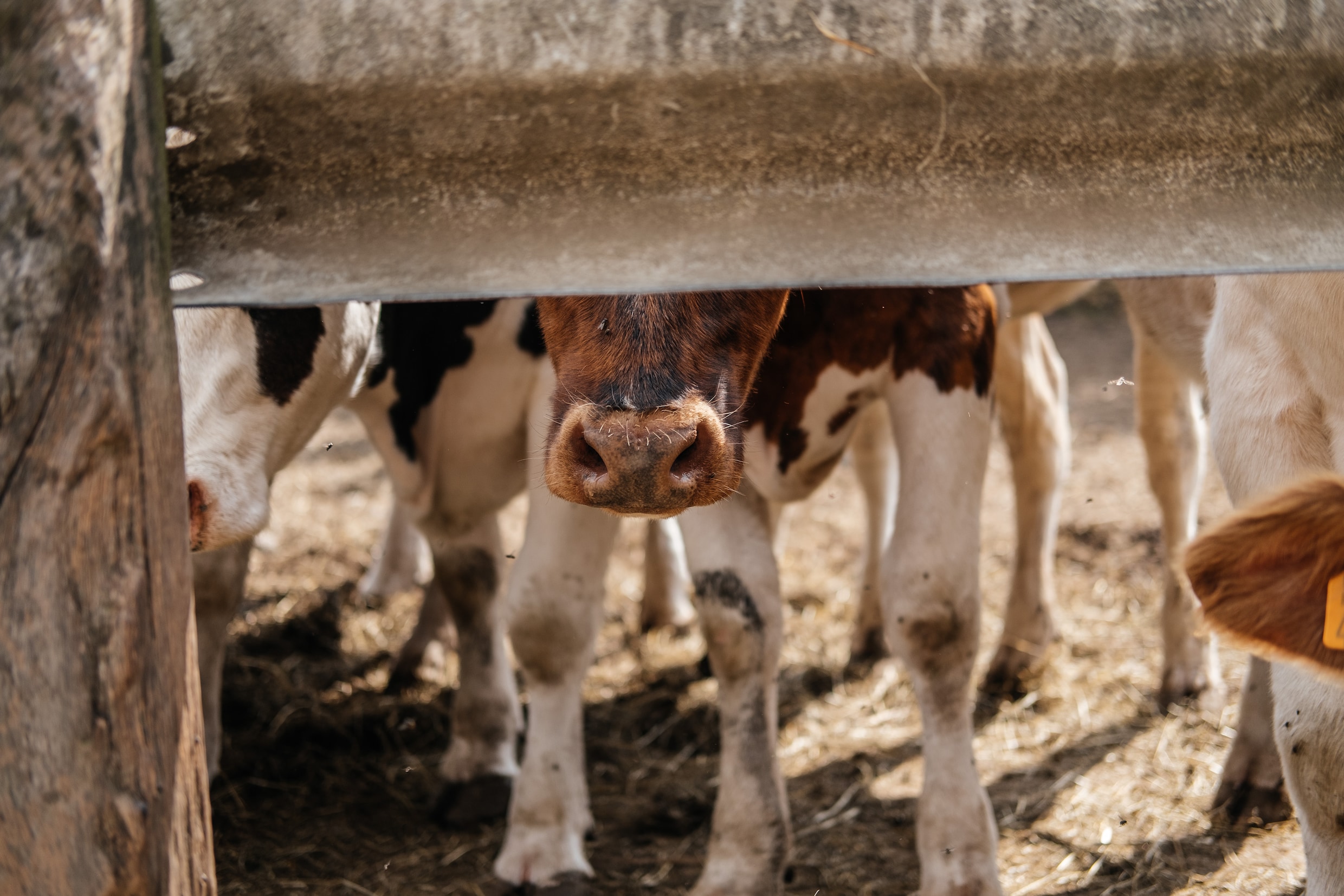 Dit is het belangrijkste nieuws van deze ochtend | De Morgen
