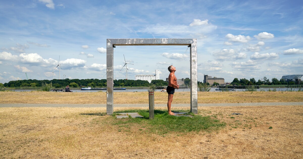 Vandaag voor het eerst code rood voor hitte in ons land: wat houdt dat ...