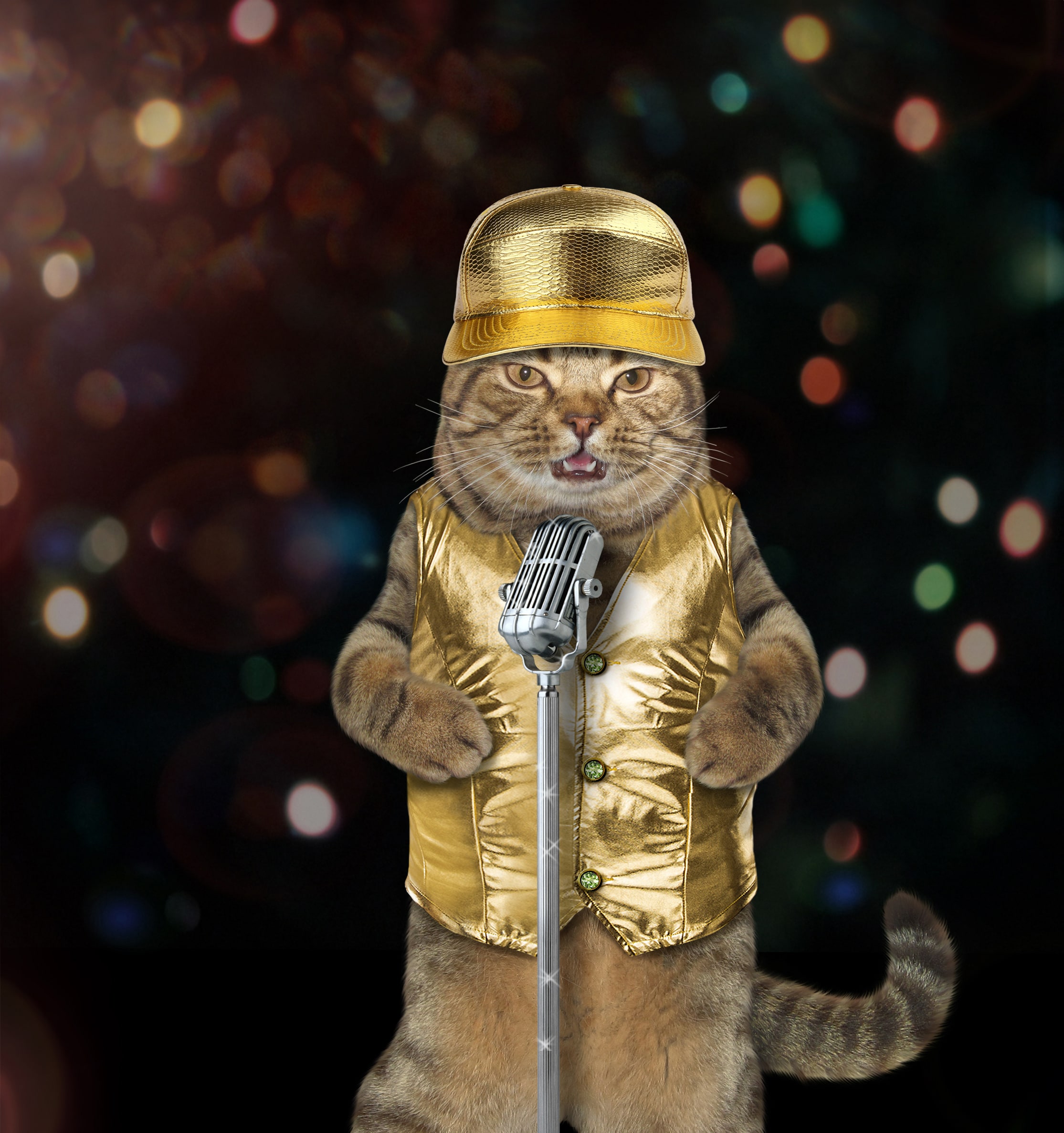 Zo'n berg geld verdien je dus met een musical over katten | De Morgen