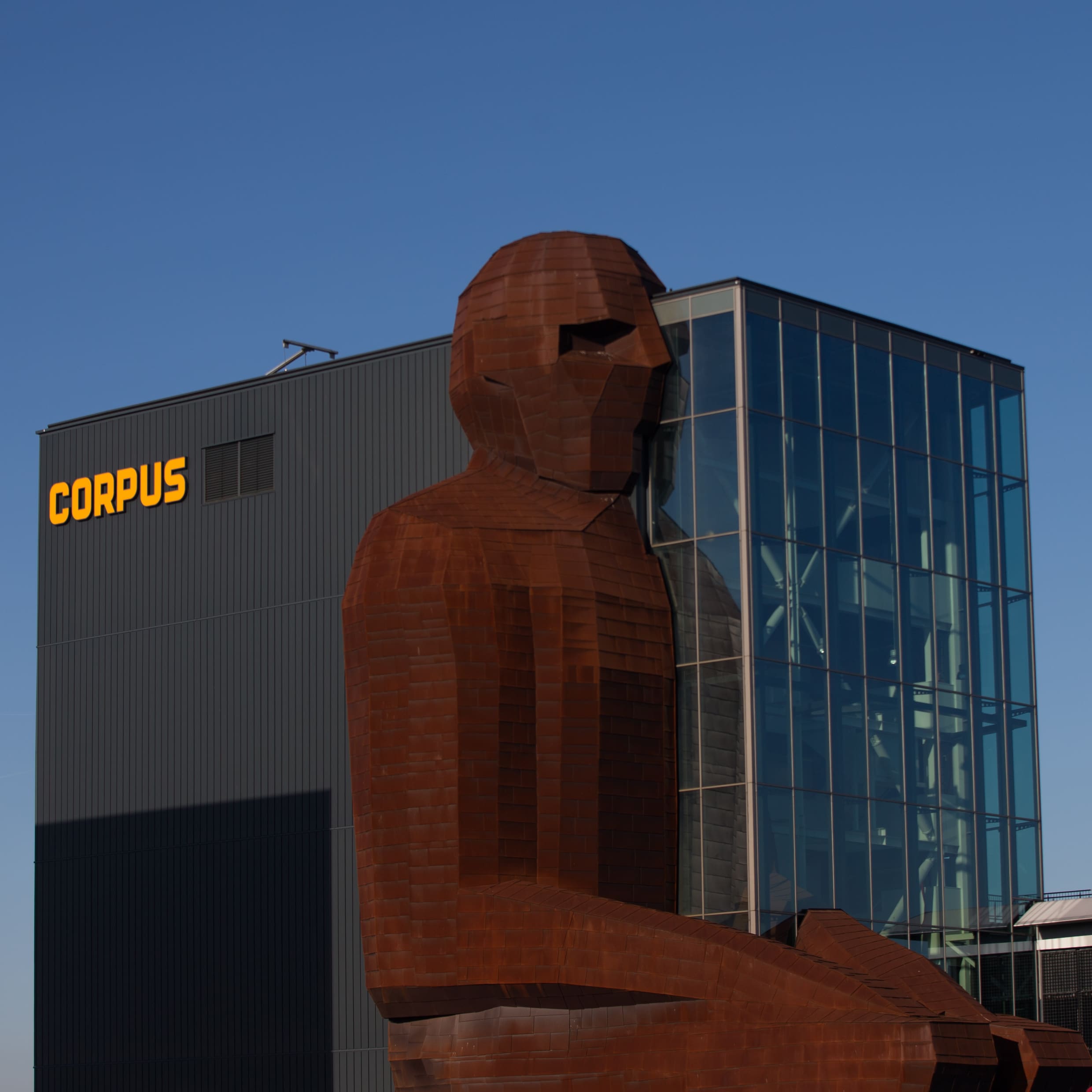 Met het gezin een tripje maken door de darmen: waarom is interactief ...