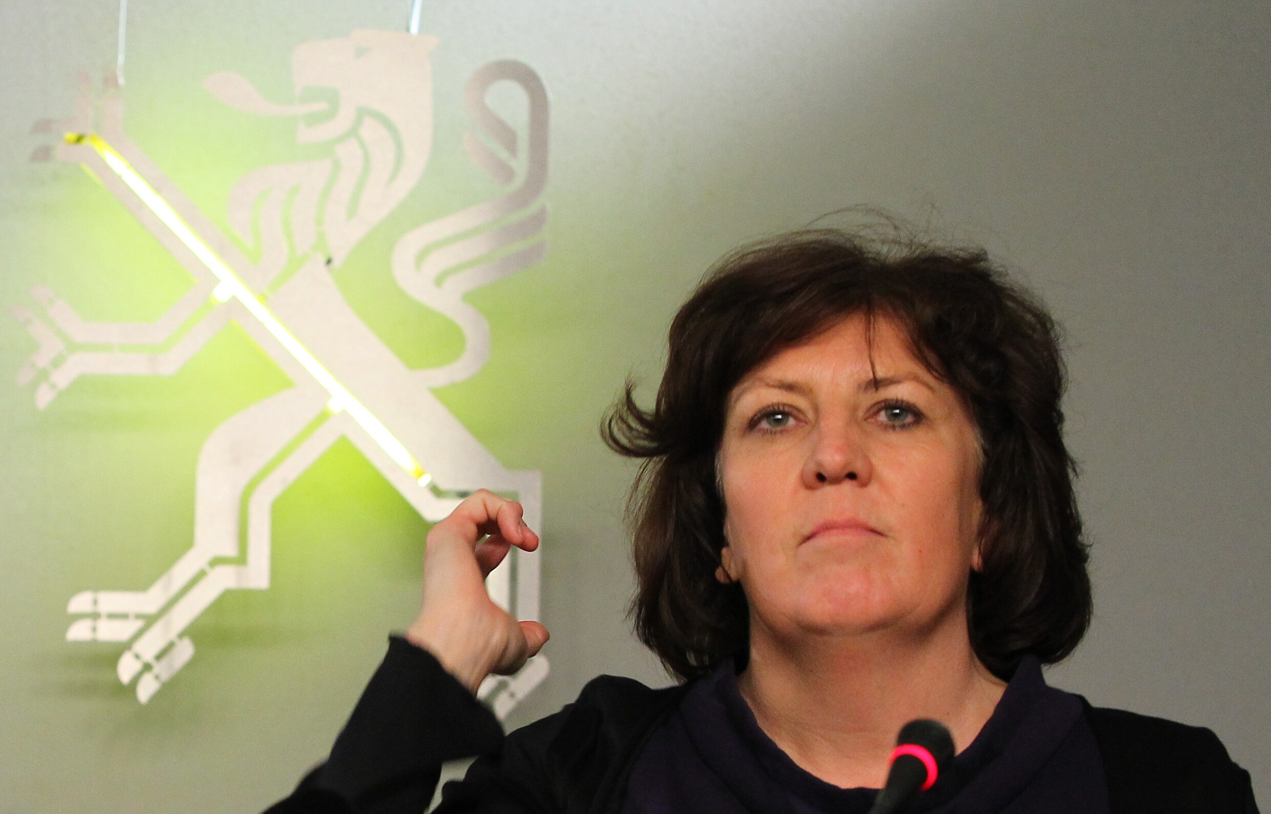 'Limburg Gas nv' wil methaangas ontginnen | De Morgen