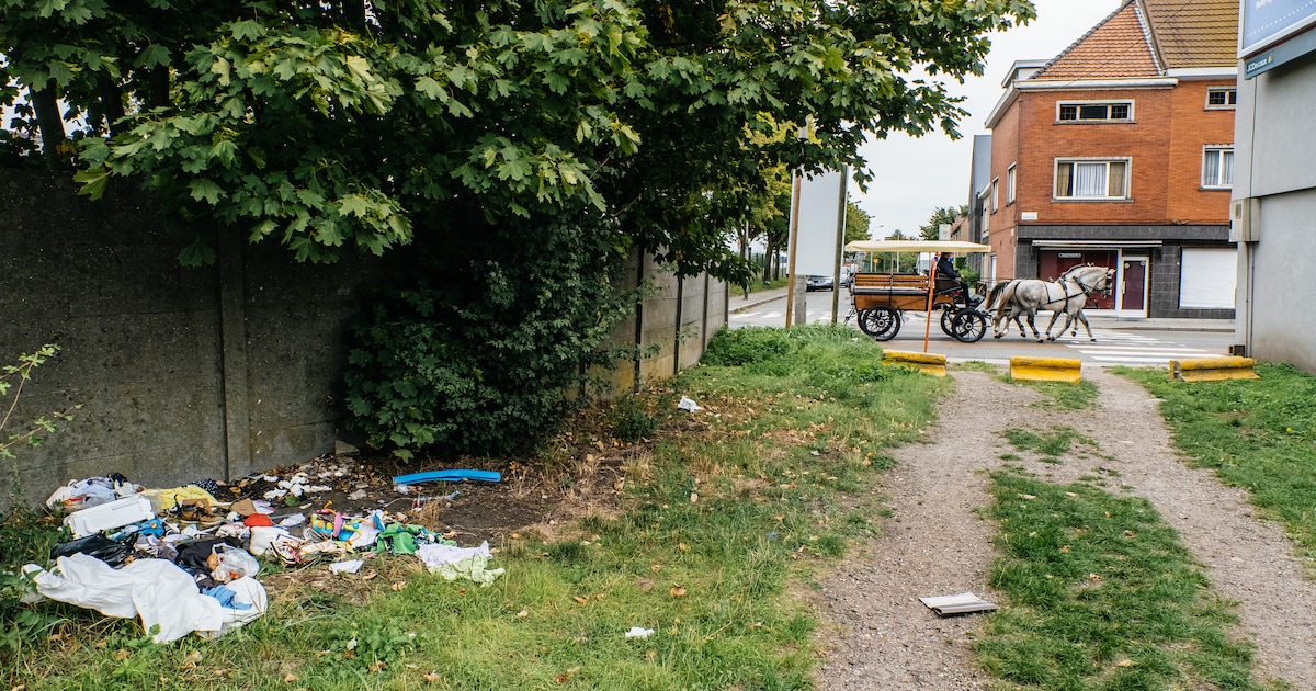 Bijna iedereen wil camera's om zwerfvuil te bestrijden | De Morgen