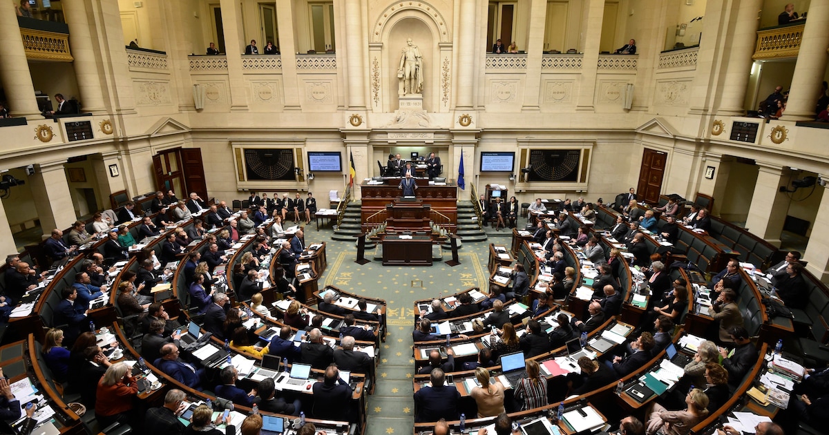 Overzicht: dit is de nieuwe Belgische regering | De Morgen