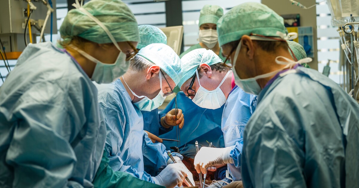 Primeur in België: UZ Gent transplanteert met succes eerste baarmoeder ...