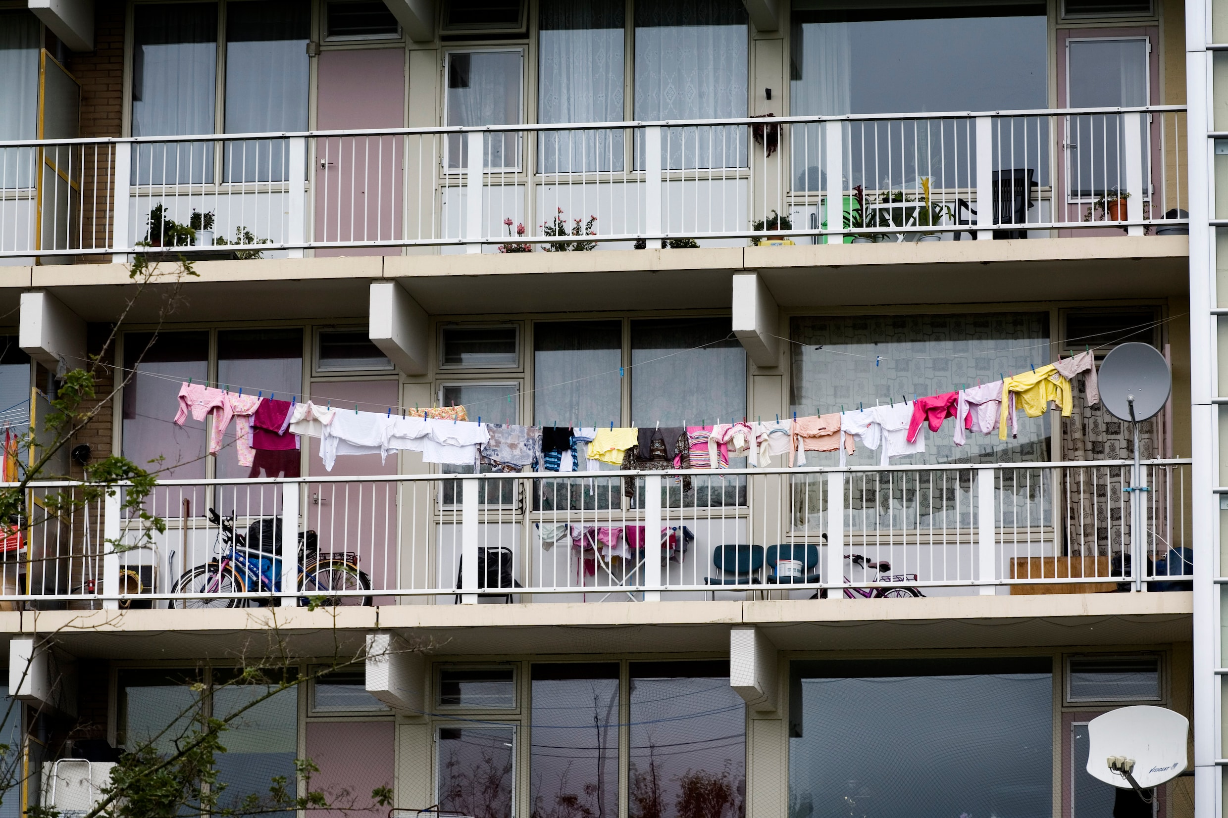 Paardenkastanjes, volle wasmachines en géén korte programma’s: zo kan ...