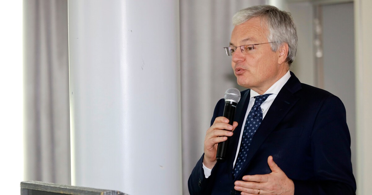 Minister Reynders komt in beeld in kwestie rond geld van Kadhafi | De ...