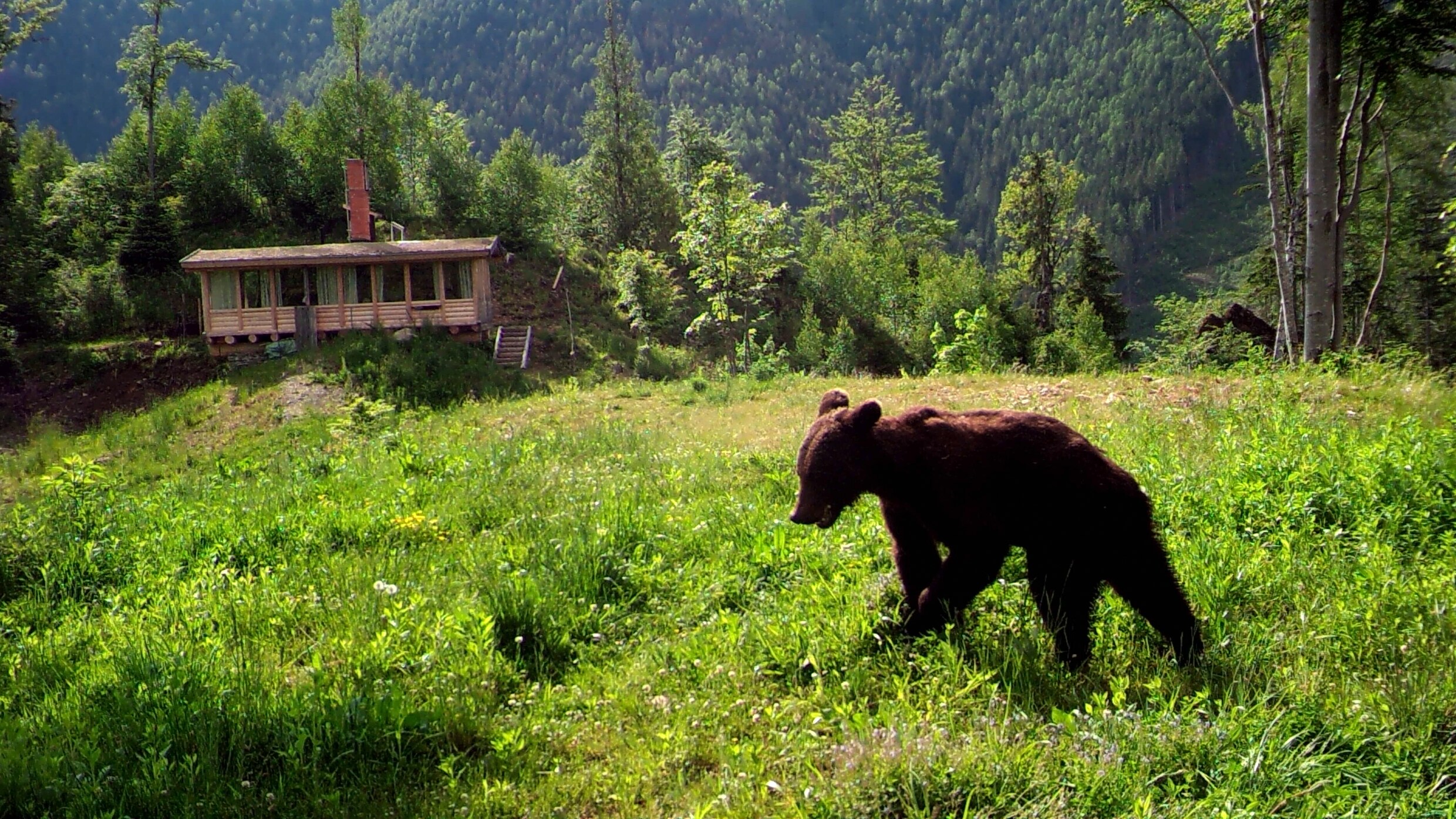 Reistip: de Roemeense variant van Yellowstone, groter dan de provincie ...