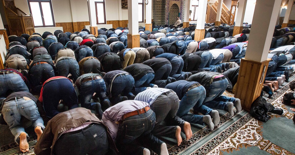 Dit moet u weten voor u gaat eten | De Morgen