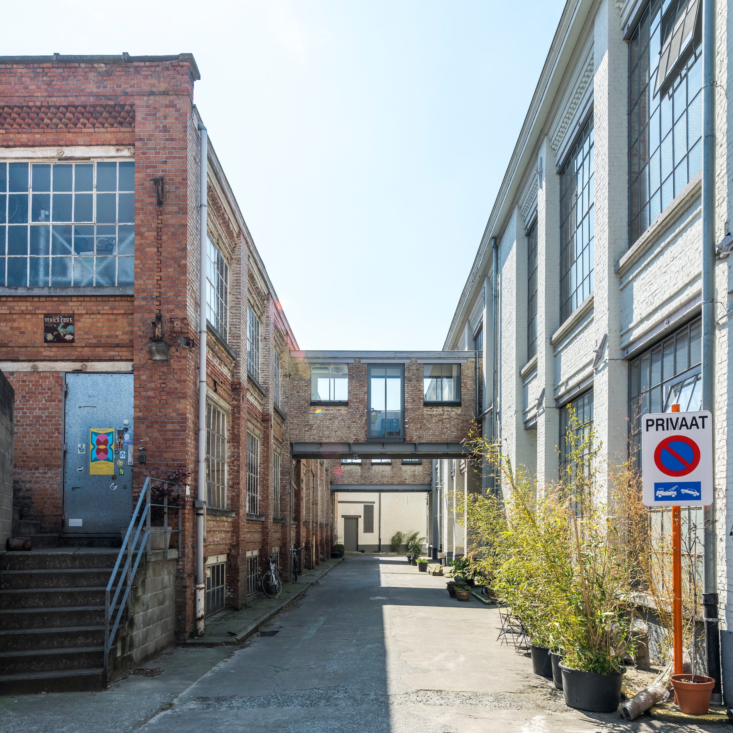 Hoe een oude fabriek een creatief nest werd | De Morgen