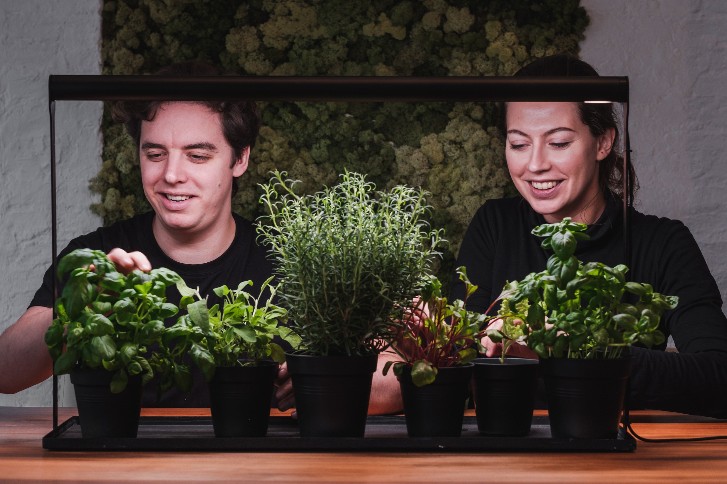 Nieuwe trend: iedereen groenteboer in eigen woonkamer | De Morgen