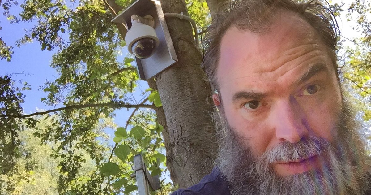 Welkom terug, Tomas De Soete. Kom je sloefen maar halen | De Morgen