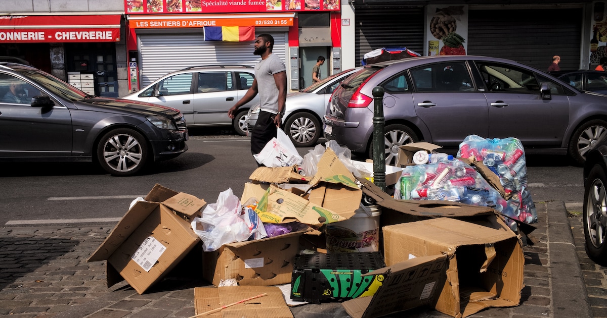 Gedumpt afval kost u bijna 30 euro per jaar | De Morgen