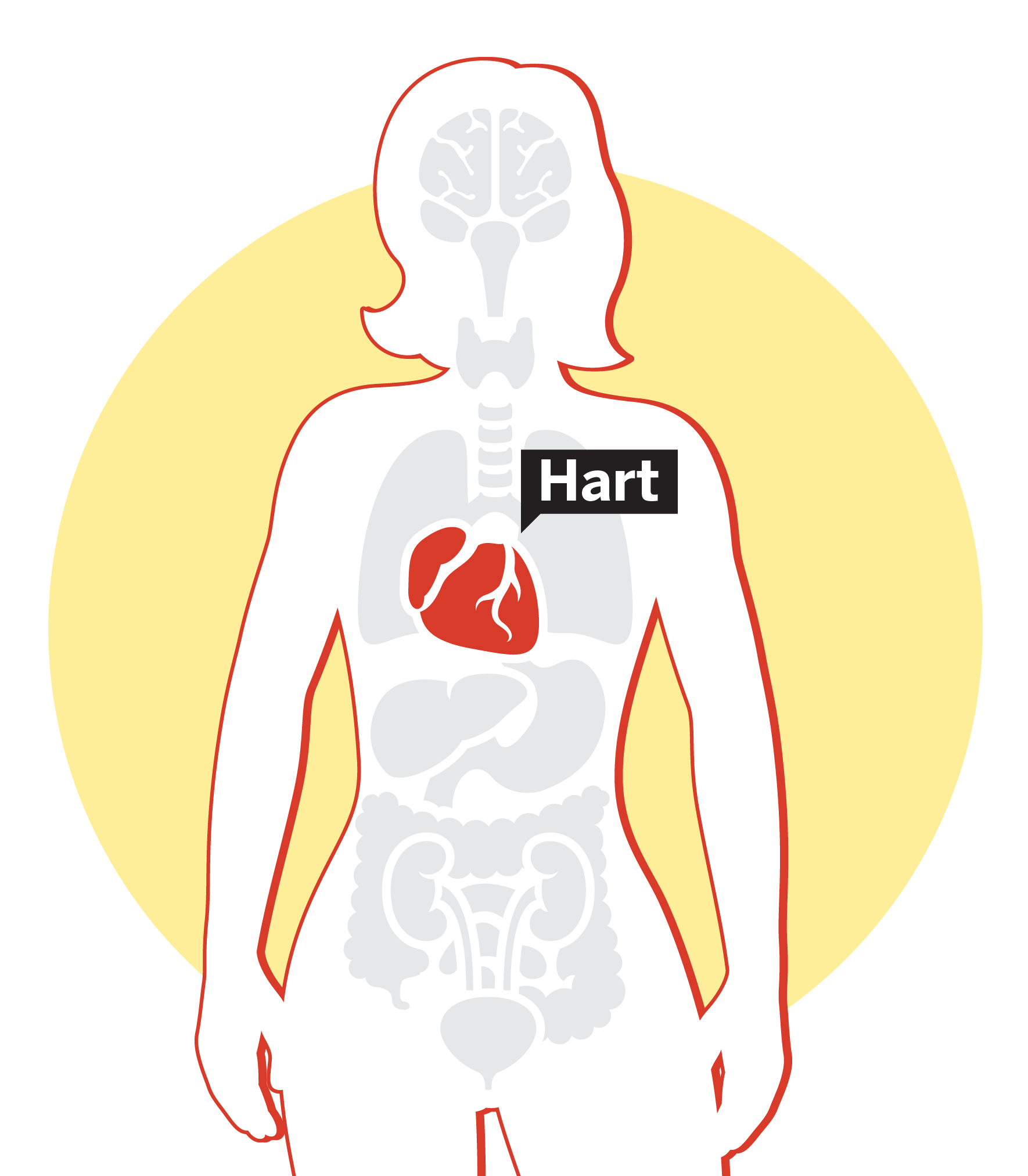 Hoe ons lijf functioneert bij extreme warmte: een bijzondere les ...