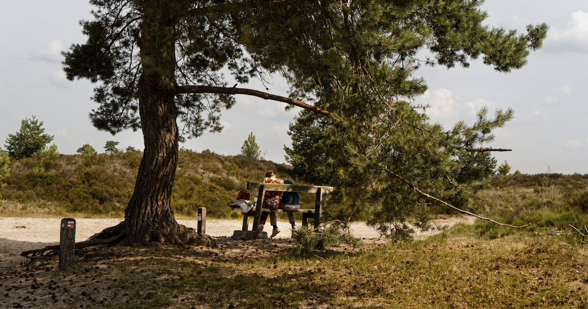 ‘Wandelen in de natuur is geen recht, maar een voorrecht’ | De Morgen