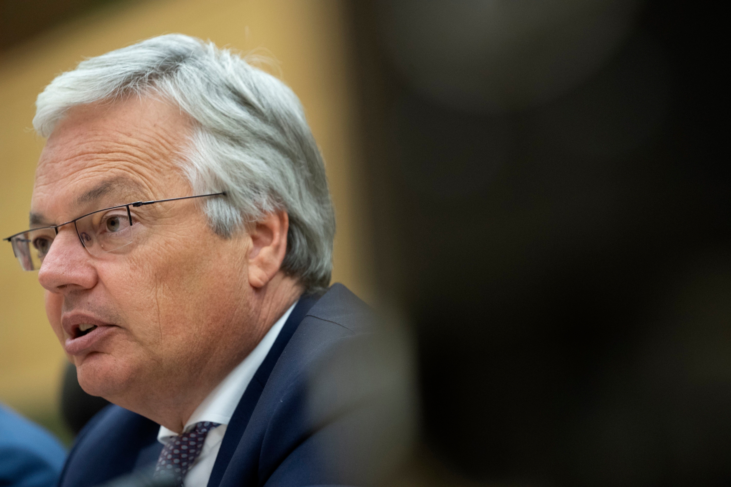 Didier Reynders mag Viktor Orbán in het gareel houden: kan hij het ...