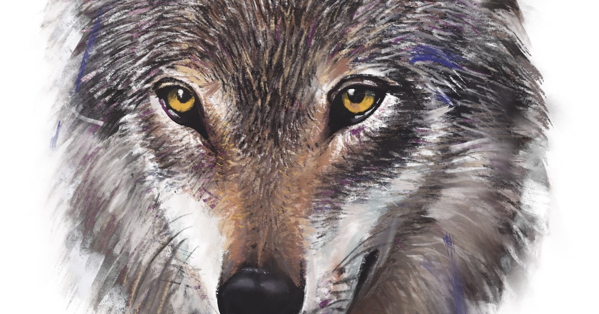 Beste Naya, u bent wellicht het slachtoffer geworden van een laffe ...