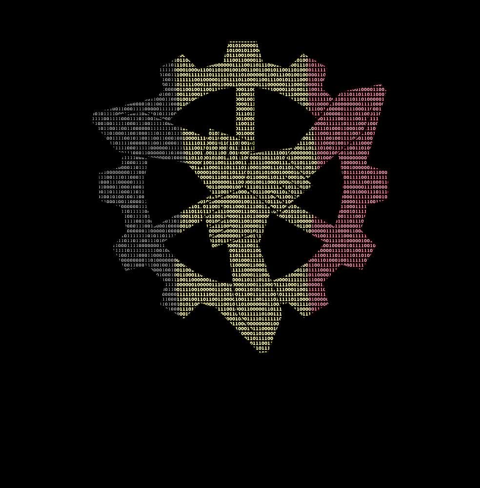 Ook Belgen op gehackt forum voor neonazi’s | De Morgen