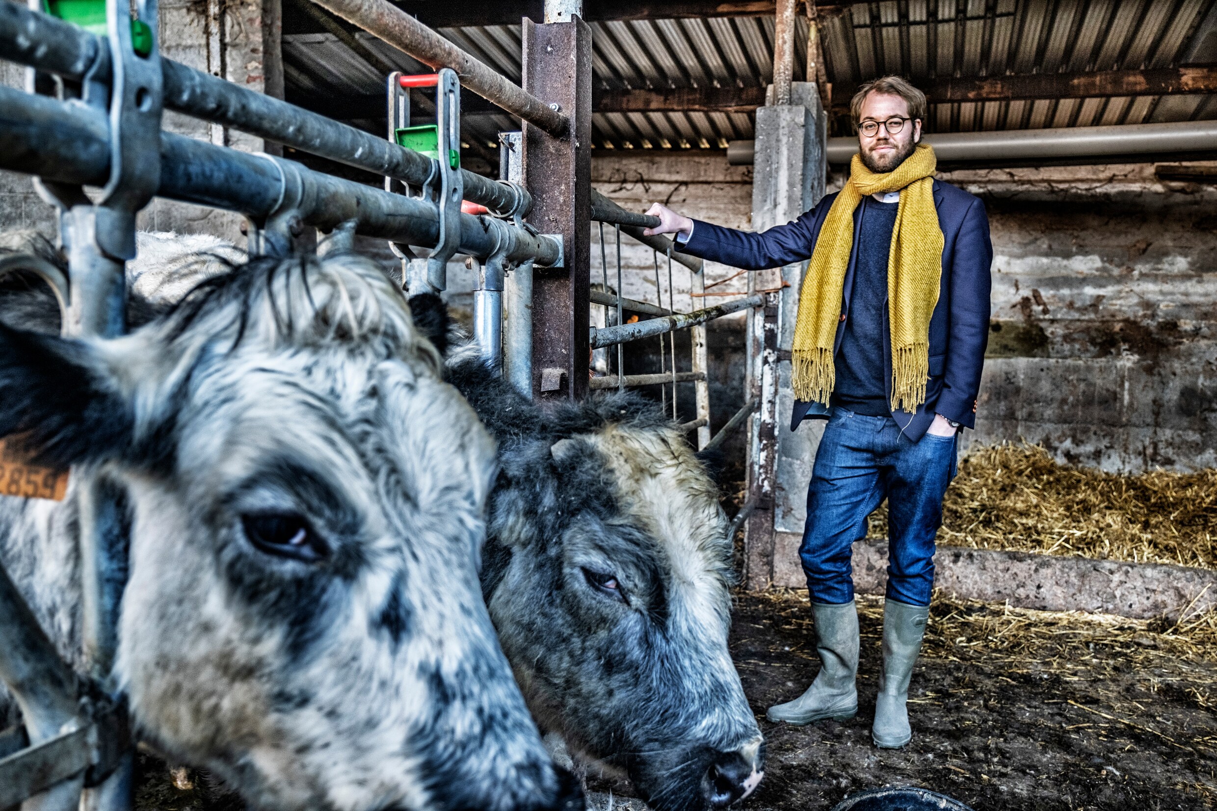 Wie klimaatoplossingen wil, zwijgt over verbieden en belasten | De Morgen