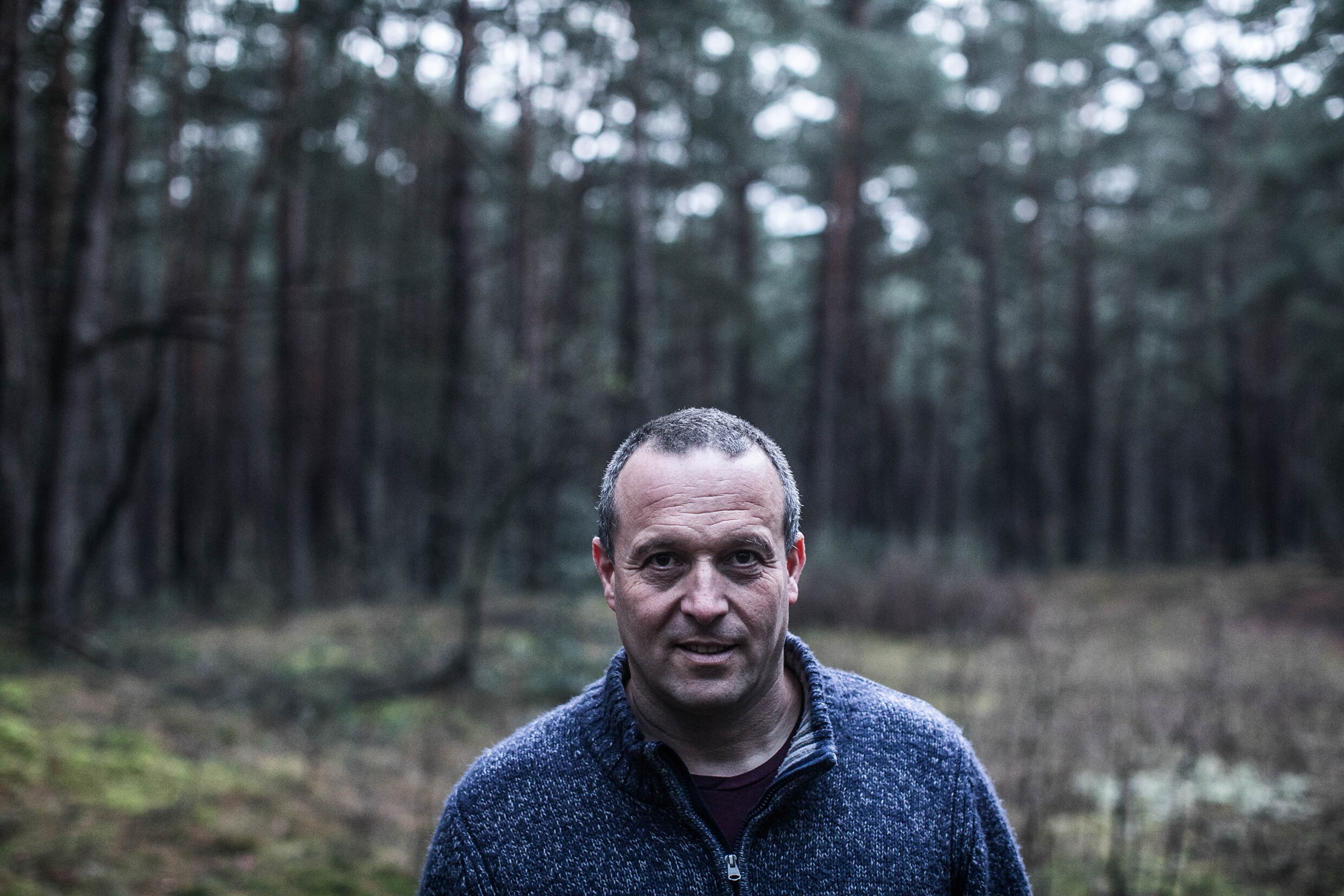 Hoe België plots een wolvenkruispunt werd. En straks komen er misschien ...