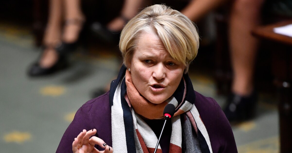 Alleenstaande ouders straks met ‘coronaverlof’: minister Muylle ...