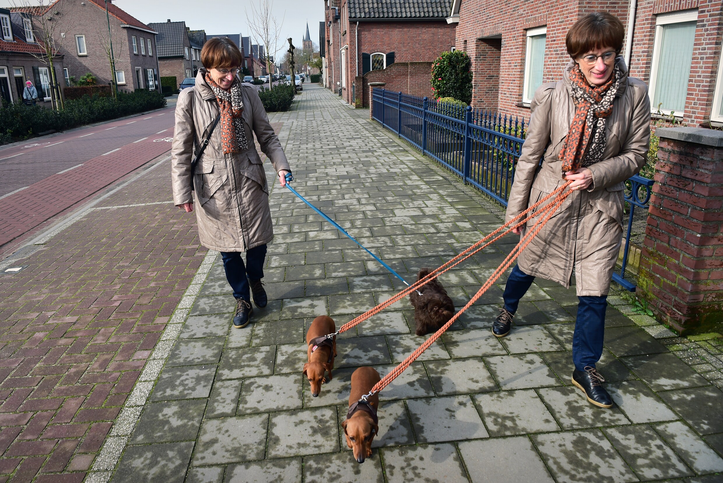 Onderzoekers begrijpen eindelijk beter hoe eeneiige tweelingen ontstaan ...