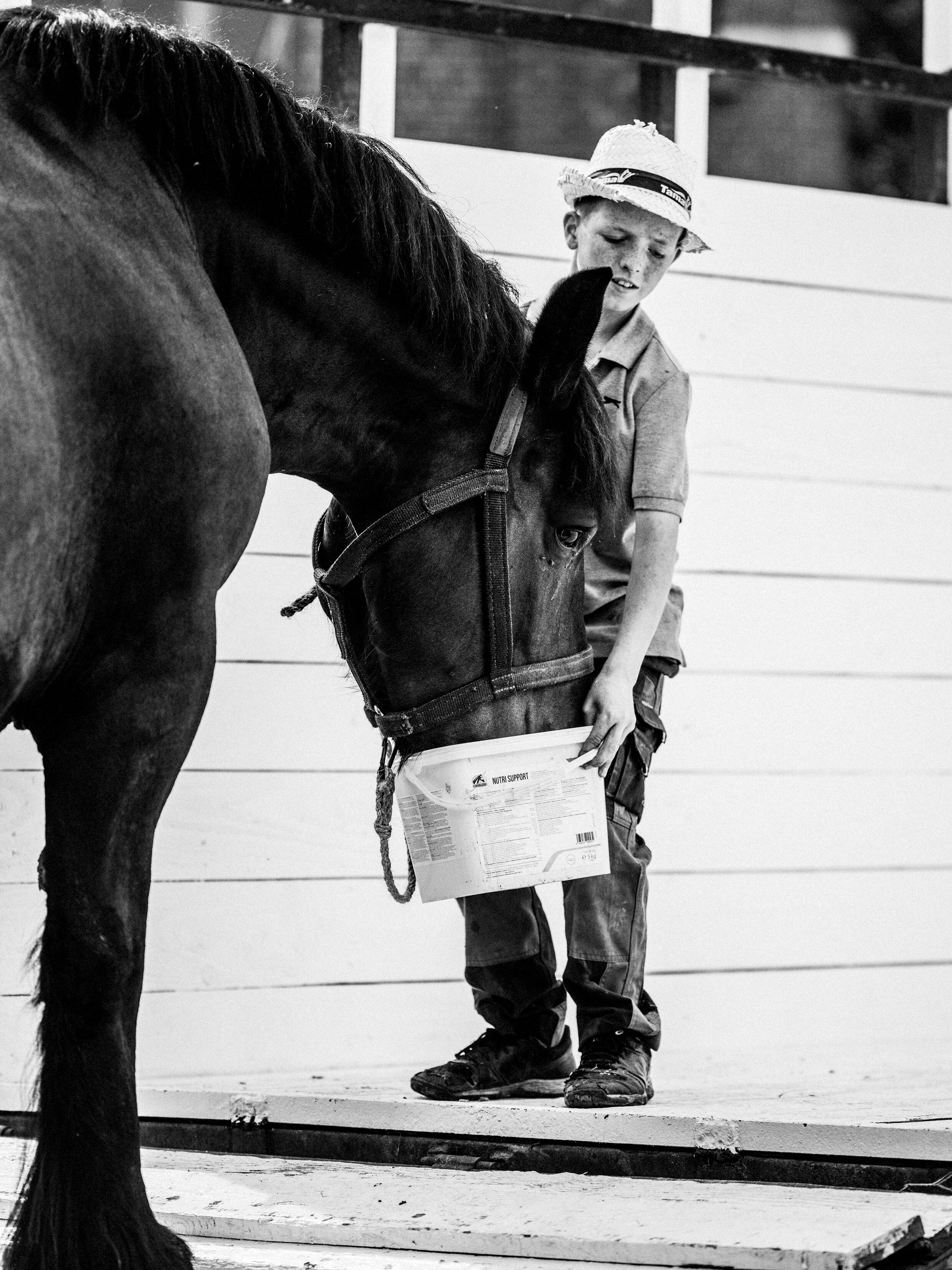 The Flanders Blues: ‘Wie hier corona krijgt, wordt allicht verbannen ...
