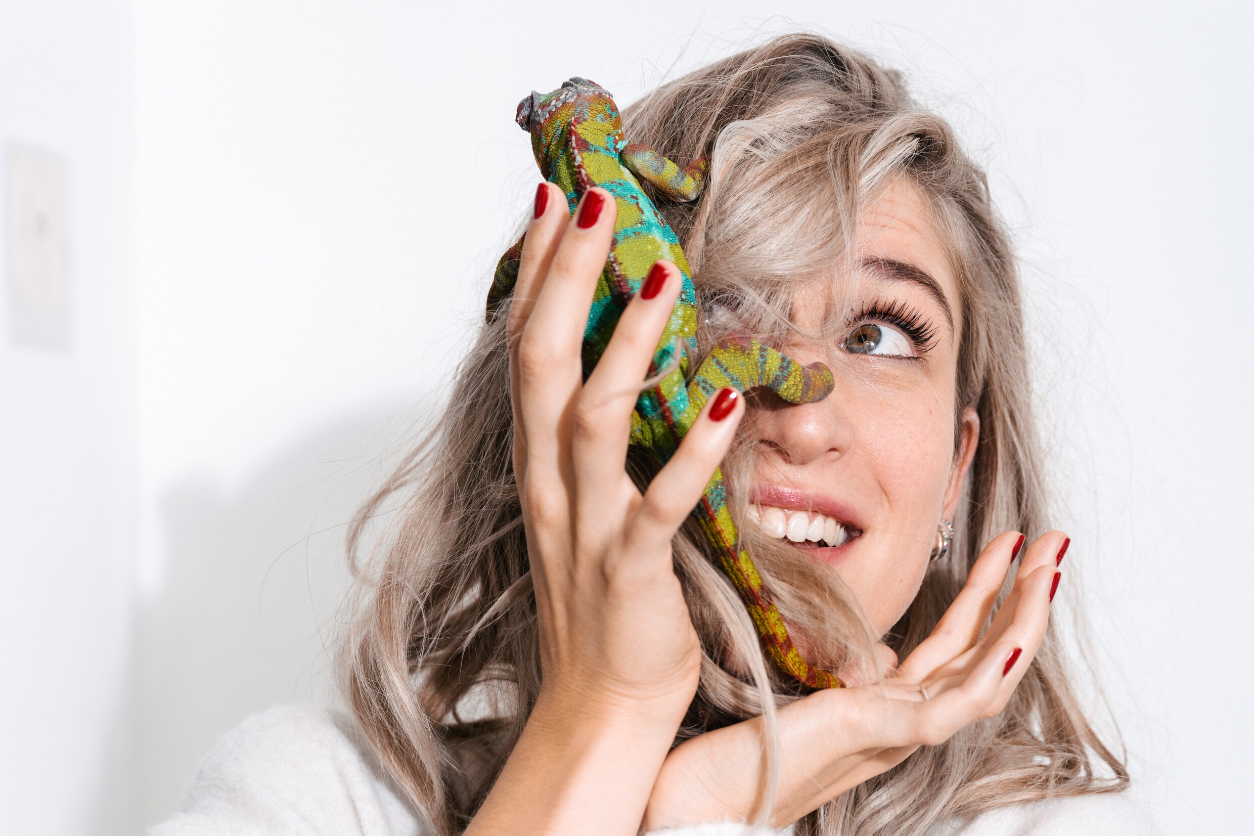 ‘We hadden geen idee dat je een kameleon als huisdier kon hebben, maar ...