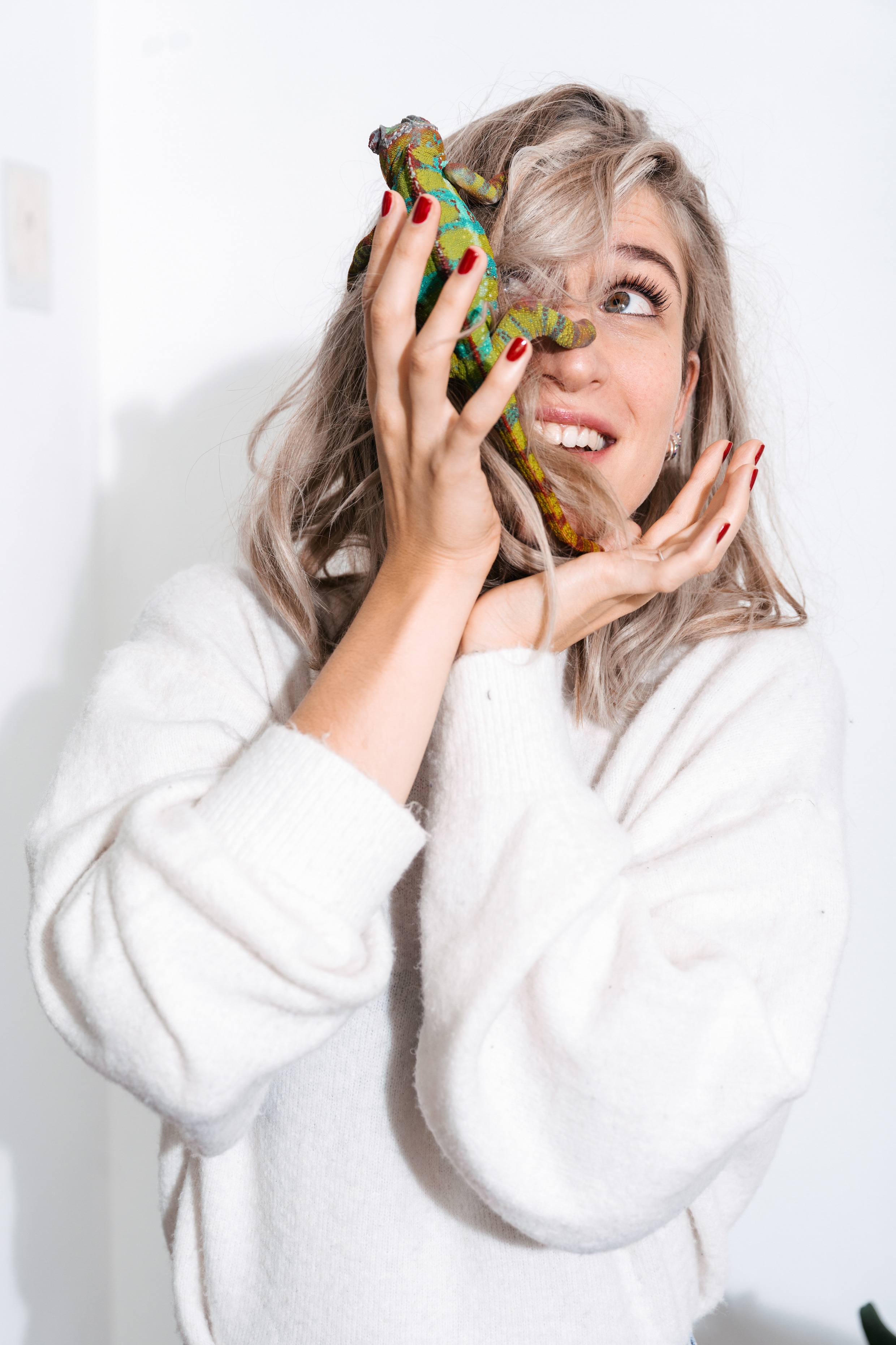 ‘We hadden geen idee dat je een kameleon als huisdier kon hebben, maar ...