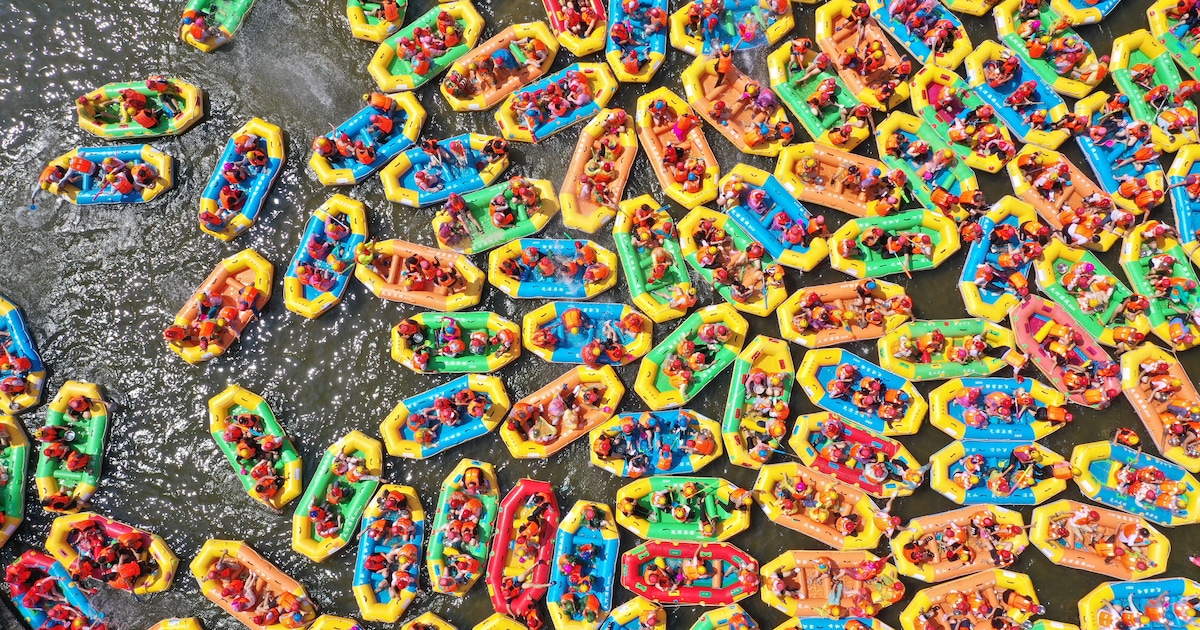 We moeten het weer hebben over overbevolking, vindt bioloog Jelle ...