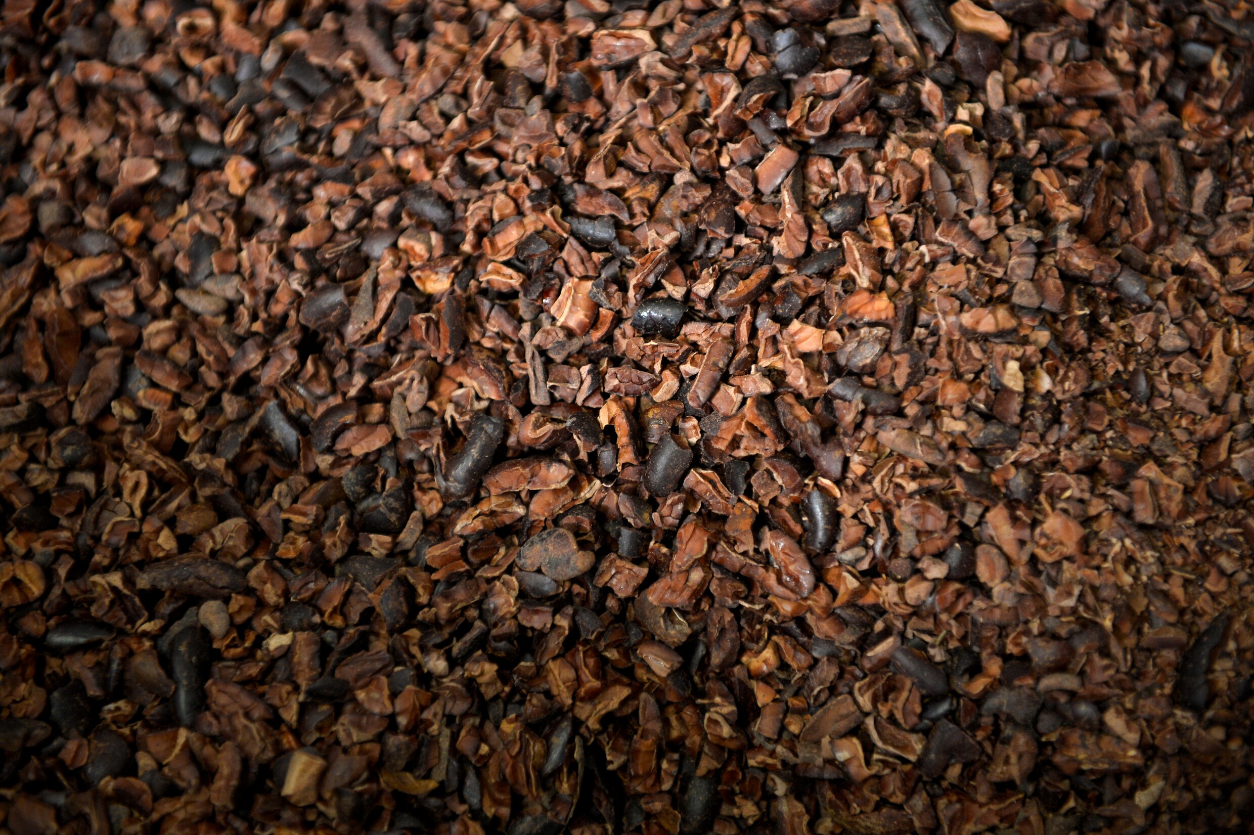 ‘Bedrijven blijven structurele problemen in cacaosector negeren’ | De ...