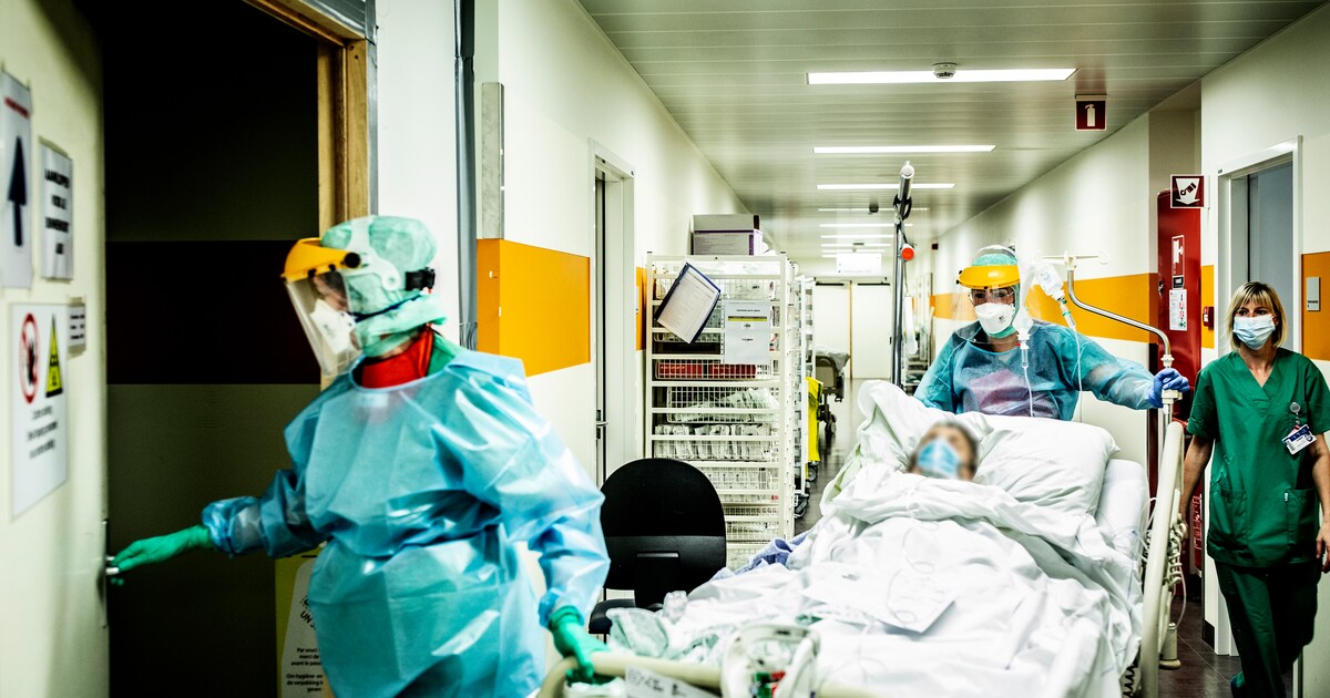 Noodplan FOD Volksgezondheid: tijdens fase 3 geen voorrang meer voor coronapatiënten in ...