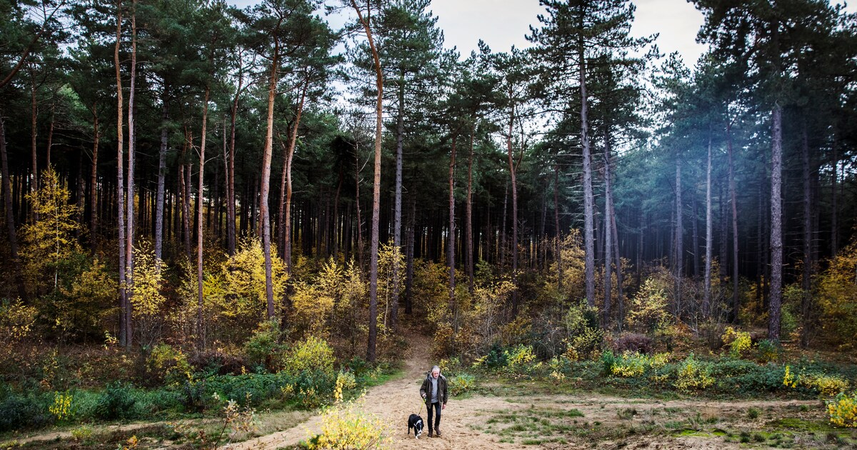 Iedereen coronawandelaar: ‘Als ik terugkom, ben ik een ander mens’ | De ...
