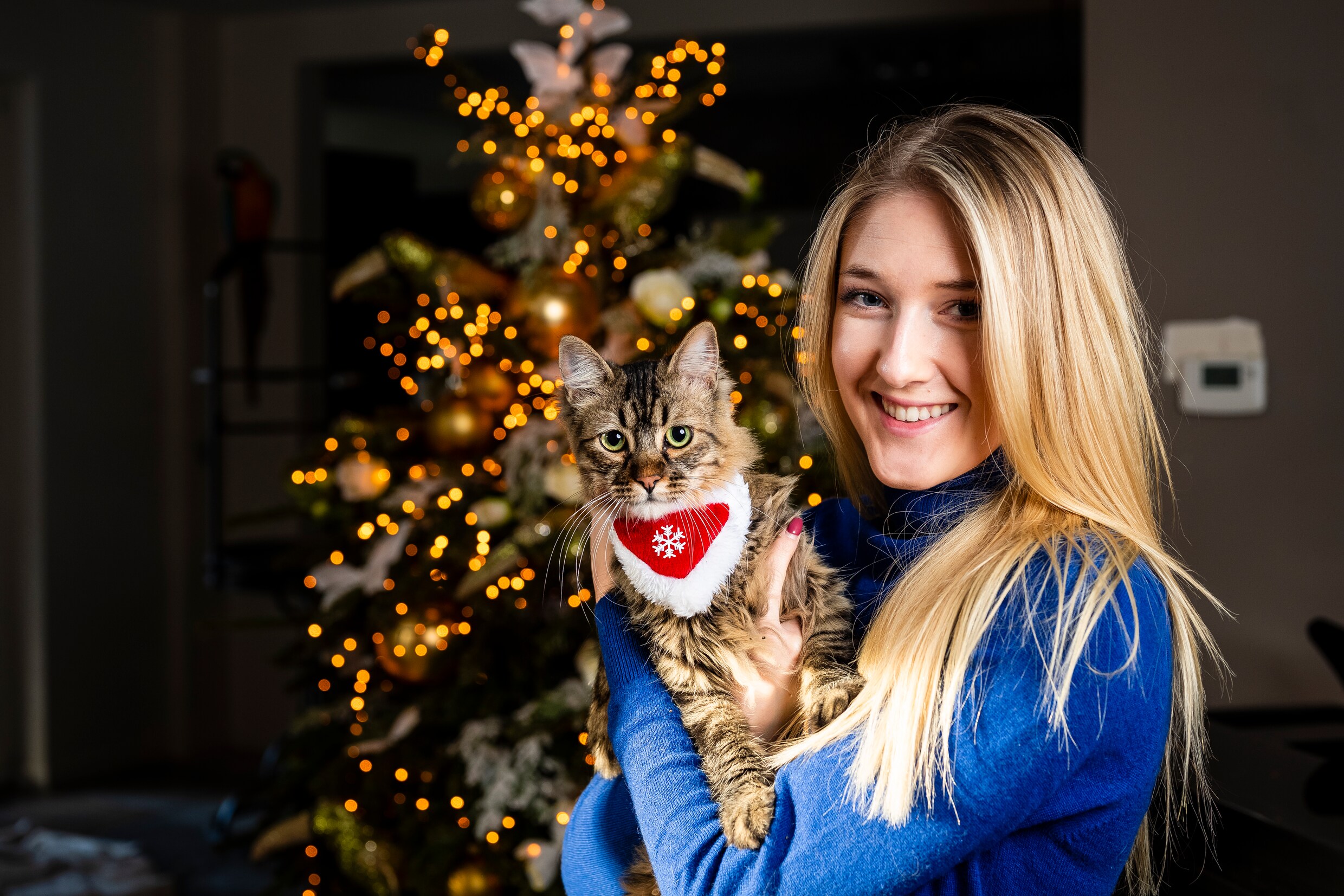 Bazin vraagt vrijspraak voor verbergen van katje Lee: waarover gaat de ...