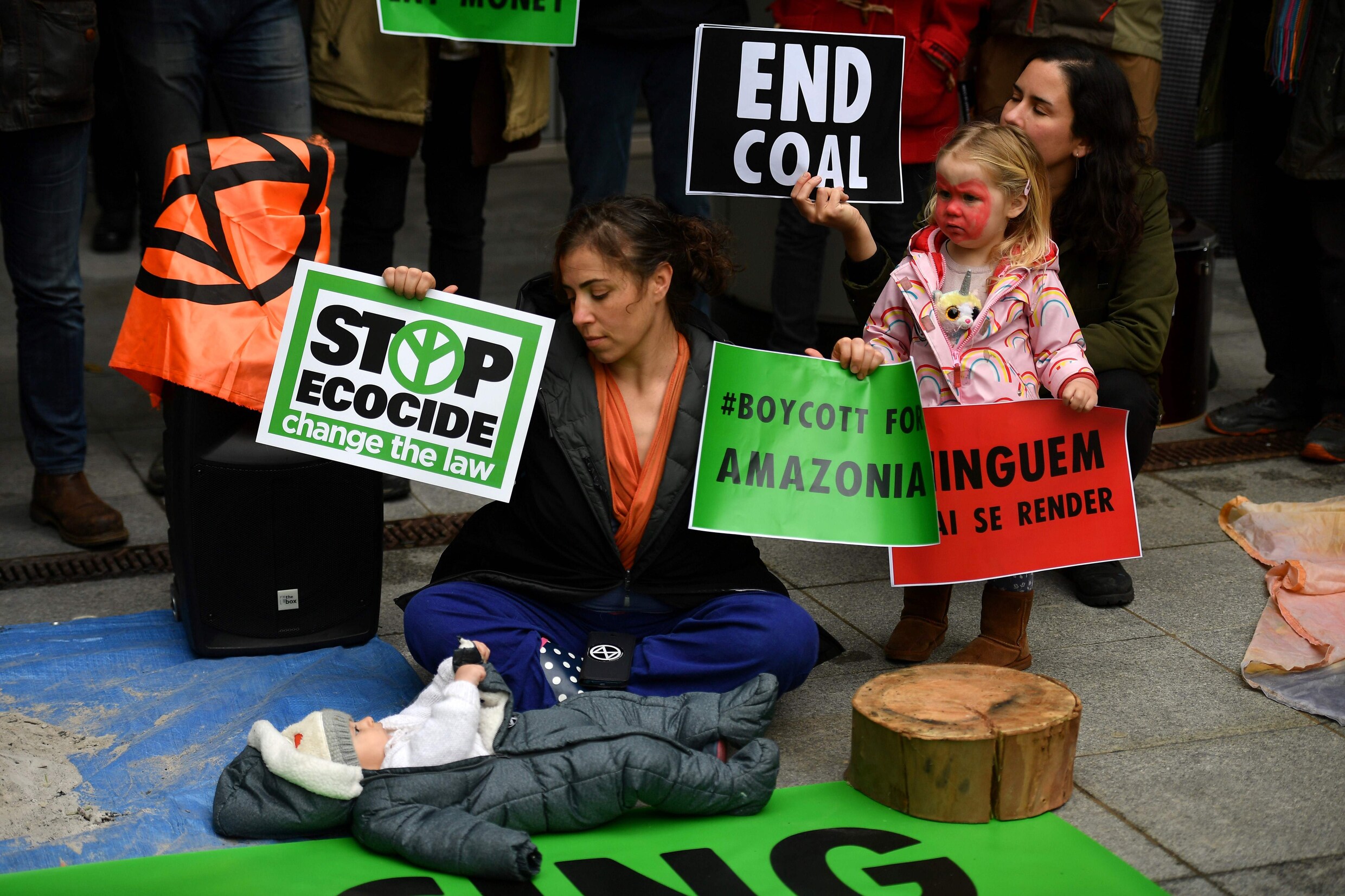 43 miljoen hectare woud vernietigd sinds 2004 | De Morgen