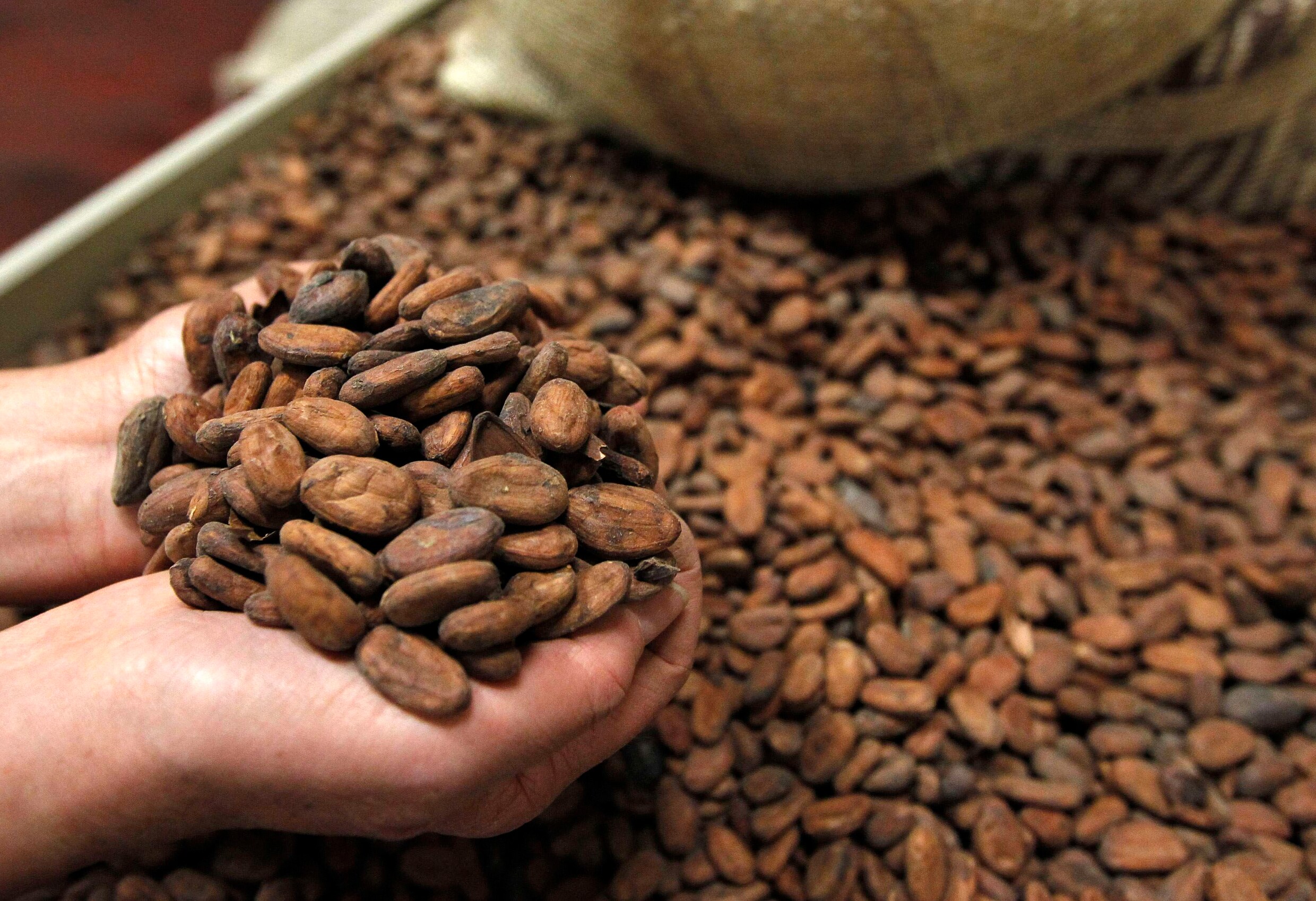 Het grootste chocolademagazijn ter wereld komt in Lokeren te staan | De ...