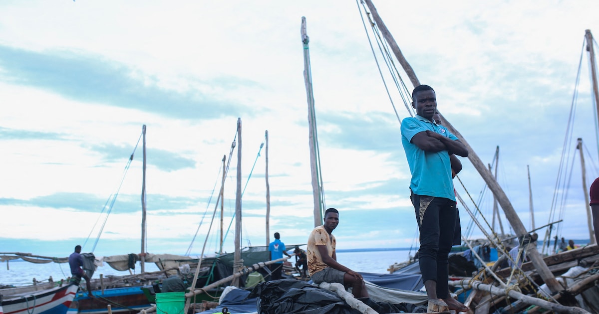 Tientallen mensen afgeslacht in Mozambique, bevolking en expats ...