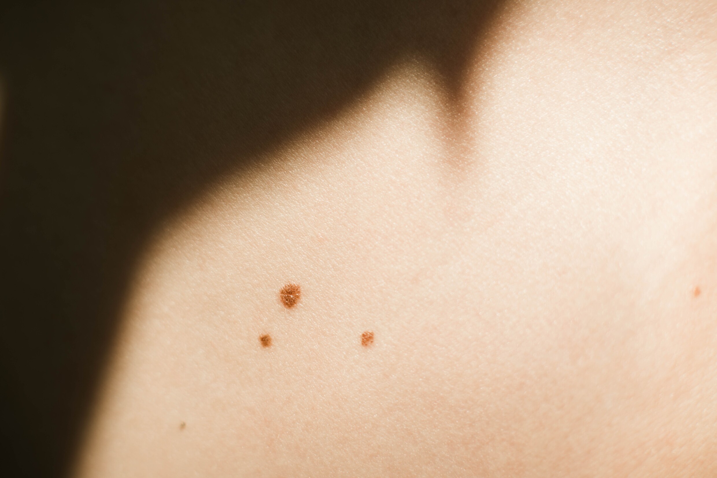 Voedselexpert Harold McGee over de kracht van geuren en waarom ...