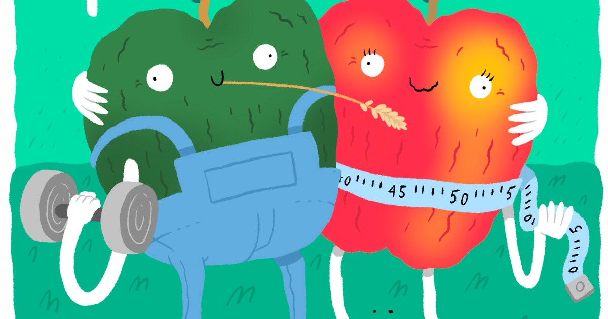 We leven steeds langer, maar is dat wel goed nieuws? | De Morgen